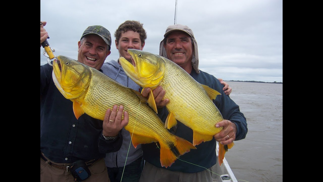 Pesca de Dorados - Argentina - YouTube