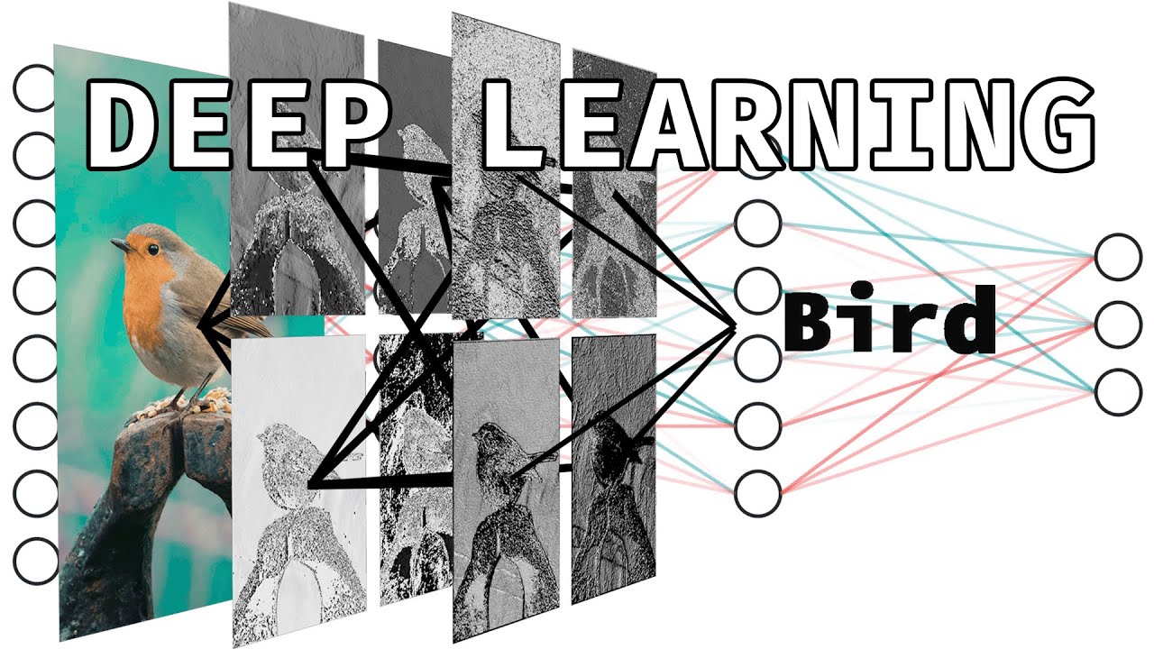 How Do Computers See Images? - Neural Networks - YouTube