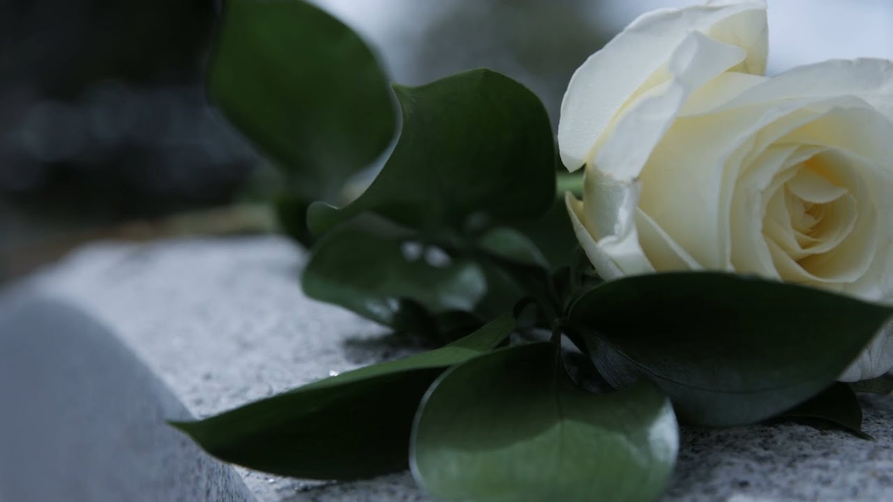 If Tomorrow Starts Without Me Denise Ferguson (Official Video) - YouTube