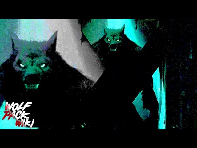 Wolf Pack Anime