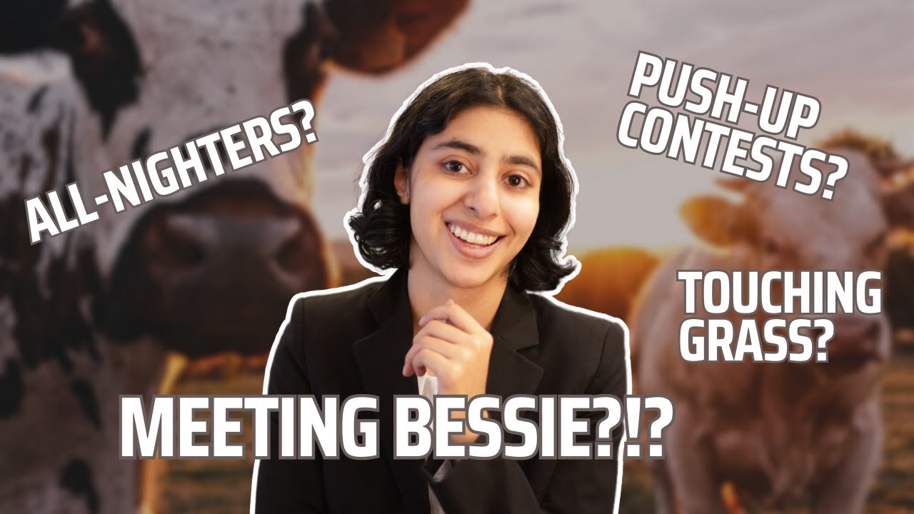 What is USACO Camp Like? - YouTube