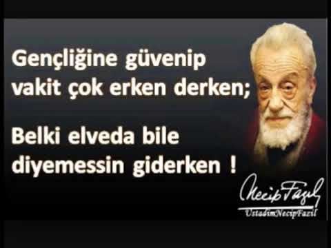 Menali vidyolar(20)