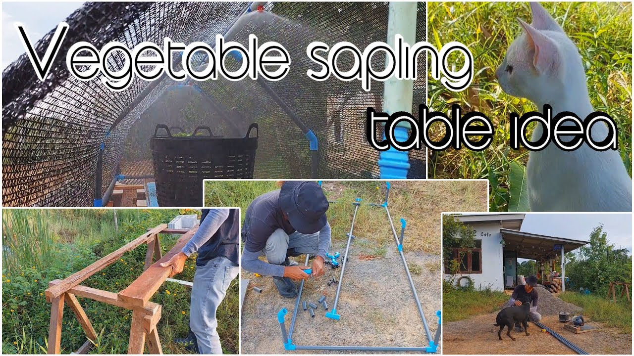 EP.16 Vegetable sapling table idea - YouTube