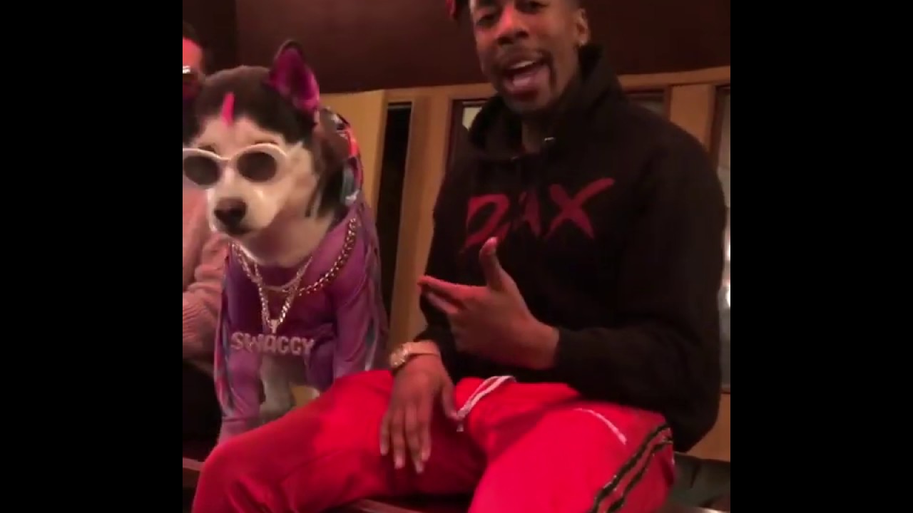 |Dog USA| Freestyle With Swaggy Dog - YouTube