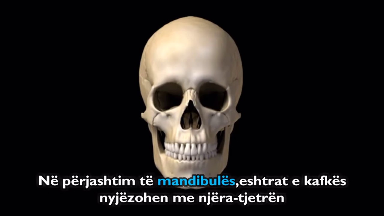 Kafka e njeriut ne terma latin - YouTube