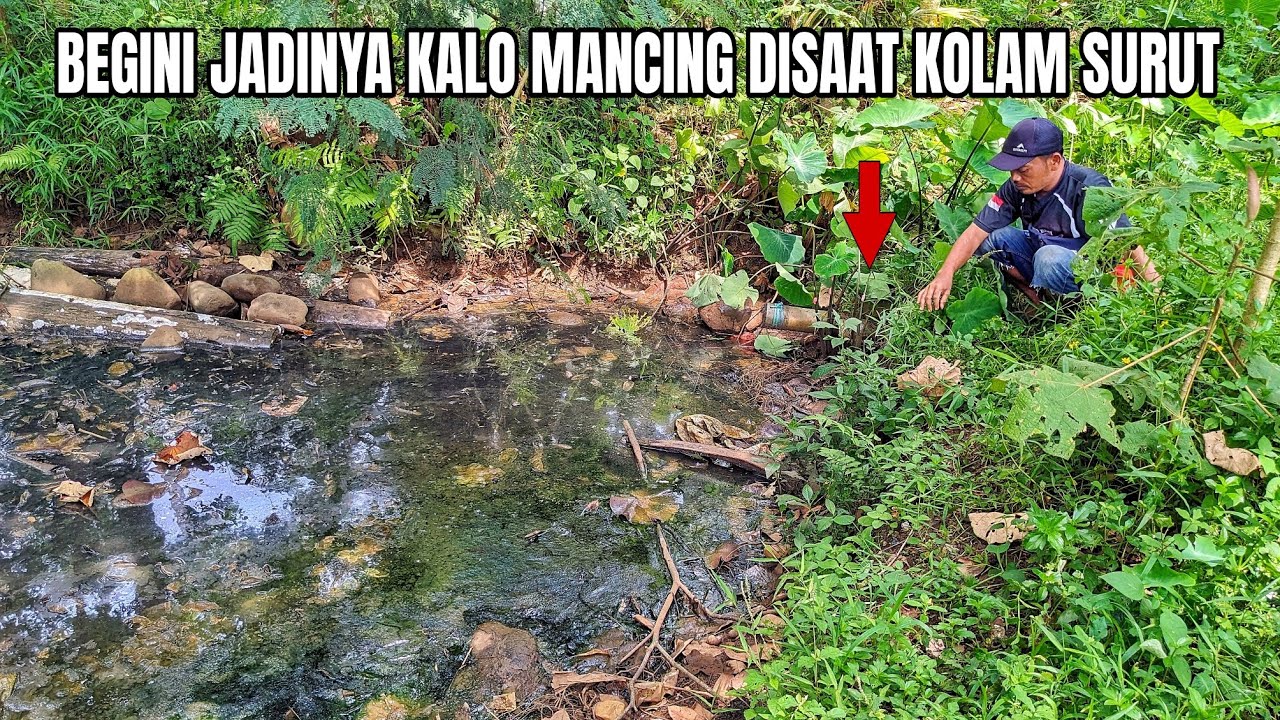 SPOT YANG GAK DISANGKA MALAH DAPAT BELUT BESAR, EEL FISHING - YouTube