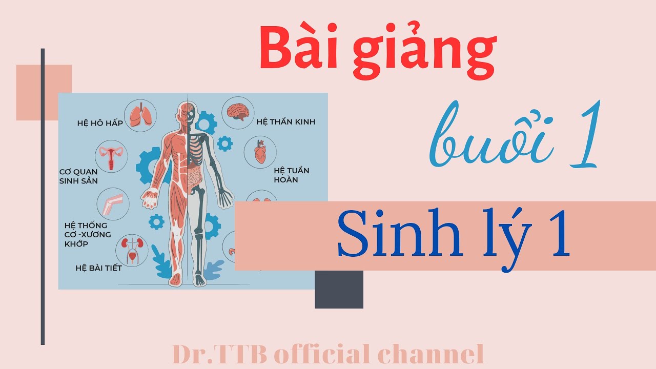 BÀI GIẢNG SINH LÝ 1 - buổi 1 - YouTube