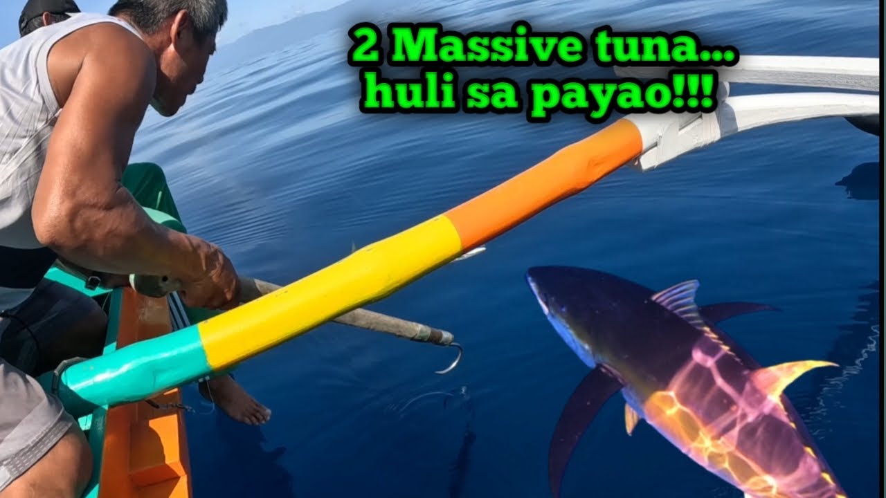 2 Massive tuna.... Handline fishing...Solid maga idol..... - YouTube