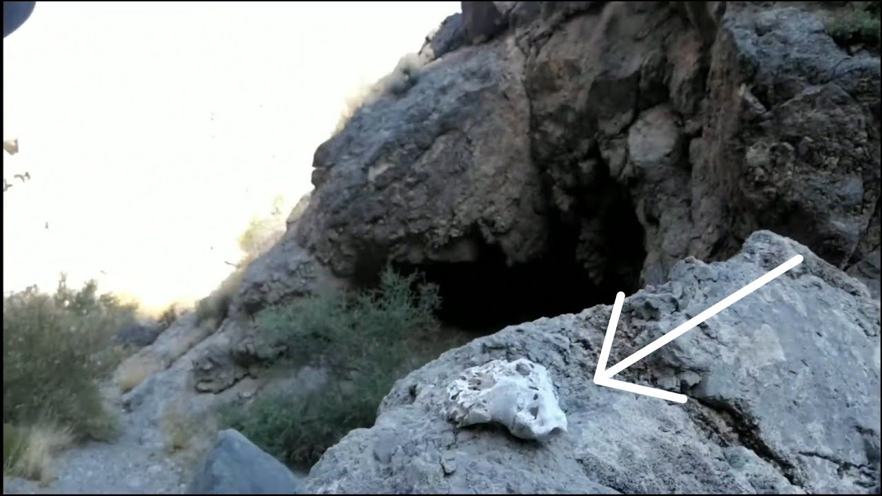 M Cave Hike Did Someone move this Skull ? + Bones Found In Odd places ...