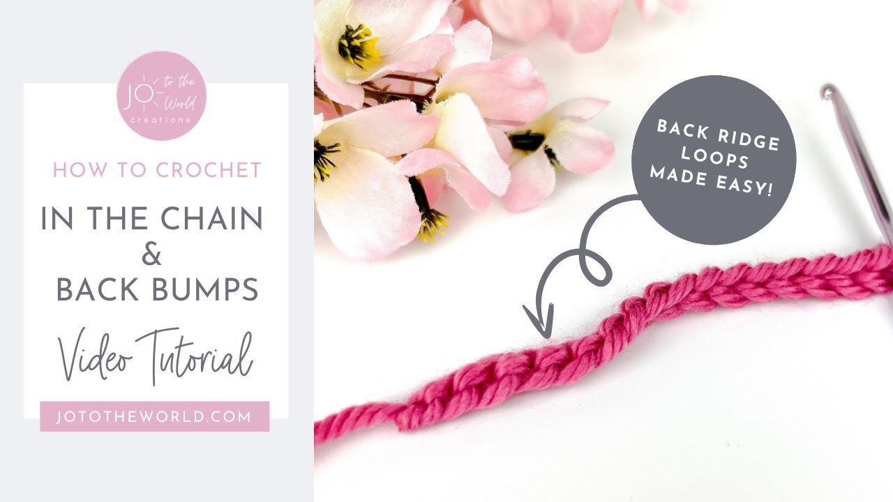 How to Crochet in the Foundation Chain & Back Ridge Loops/Back Bumps of ...