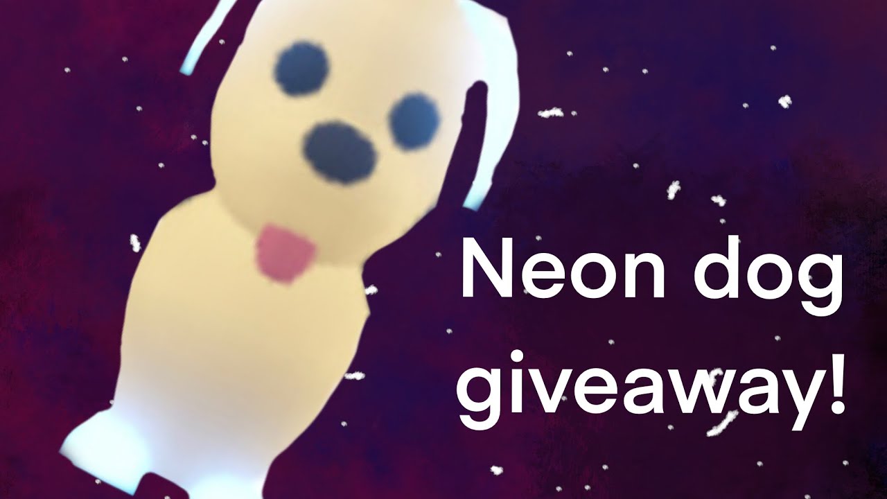 Neon dog giveaway - YouTube