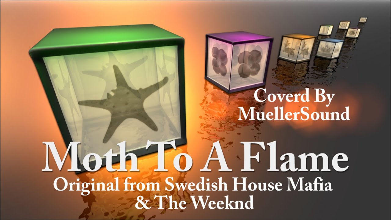 Moth To A Flame (COVERD from Swedish House Mafia & The Weeknd by ...