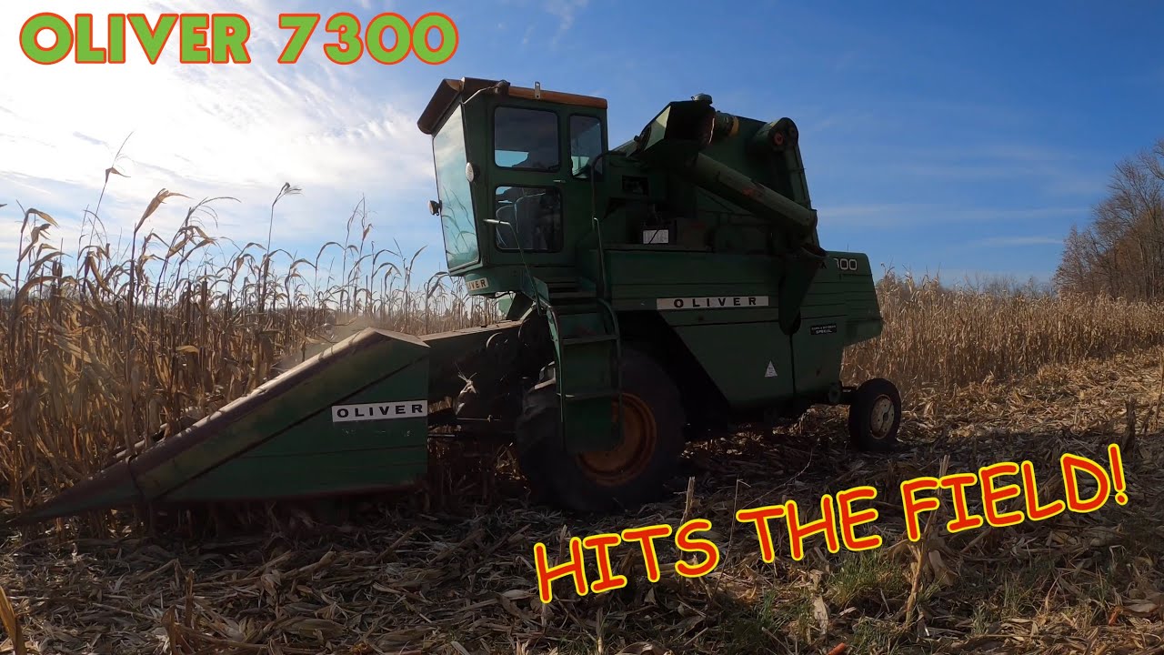 CHEAPEST COMBINE Oliver 7300 Hits the Field! First time out in 10+Years ...