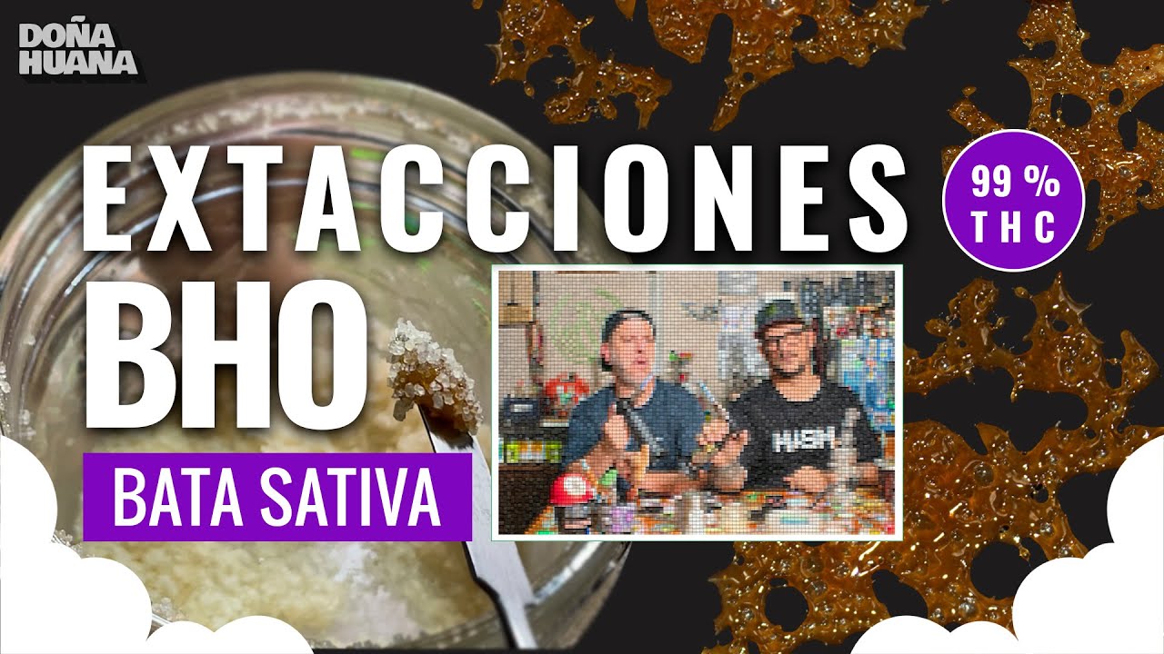 99% THC - COMO SE HACEN LOS CRISTALES DE THC Y EL BHO - BATA SATIVA ...