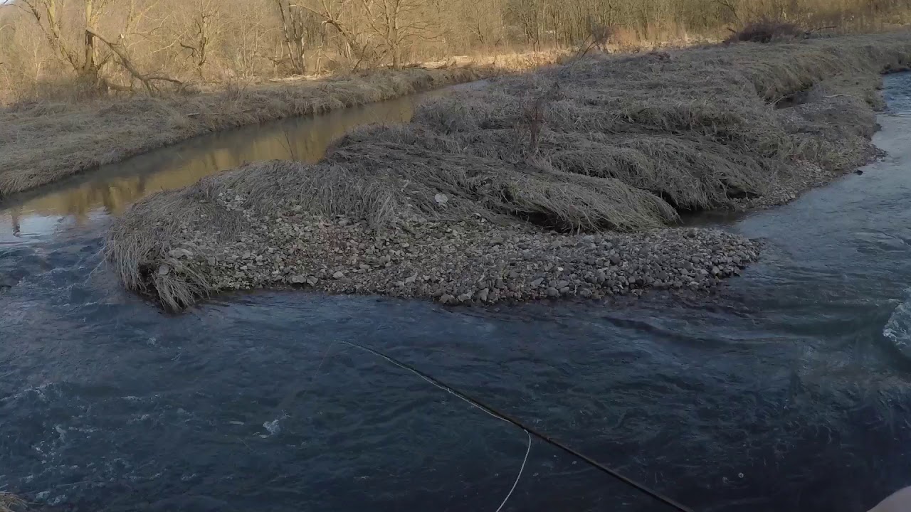 Hooking Big Rainbows at Swiss Valley - Catfish Creek - Dubuque Iowa ...