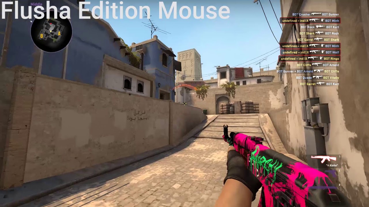 The Flusha Edition Mouse - YouTube