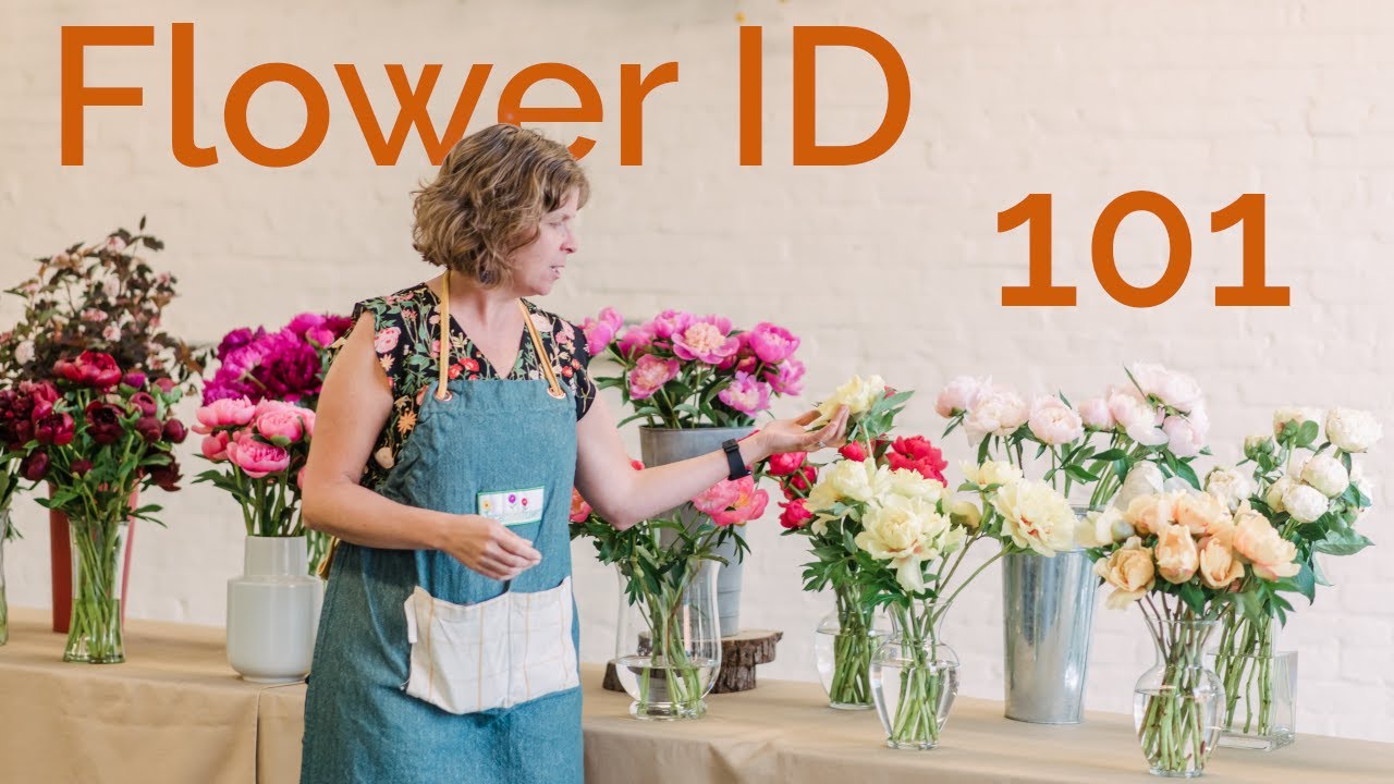 A Beginner's Guide To Identifying Flowers - Learn to Sound Like an ...