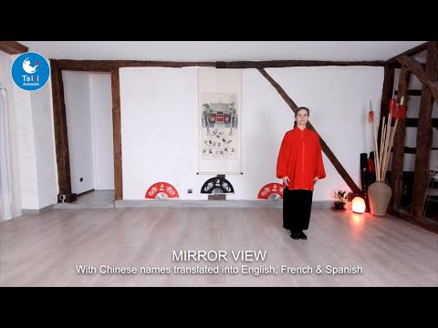 Yang style Tai Chi 8 form MIRROR VIEW by Patrizia with moves names in ...