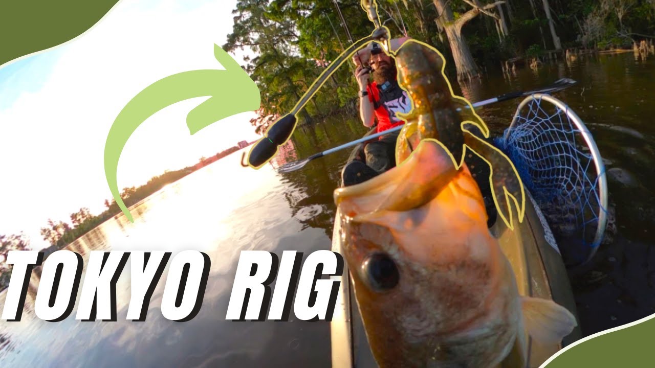 Have you tried the Tokyo Rig? You REALLY should. ( Fishing w/ Nikko ...