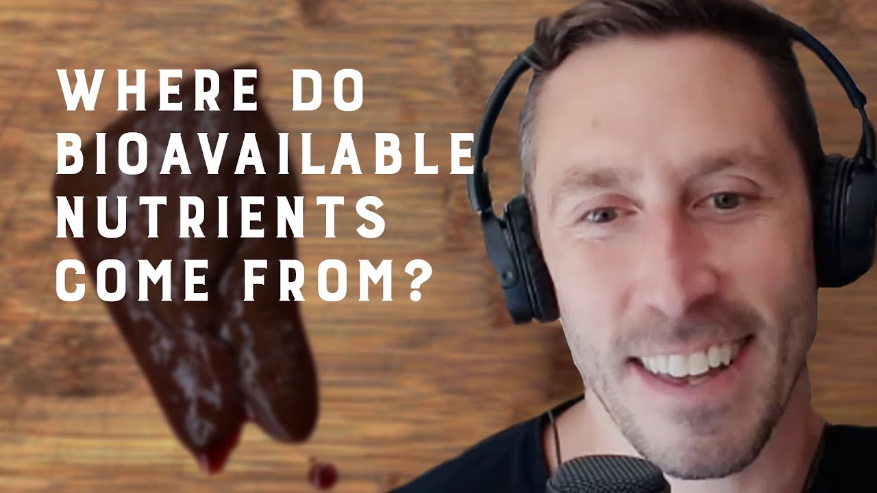 Where do bioavailable nutrients come from? - YouTube