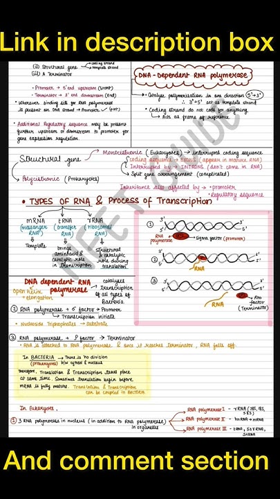 Part 2 Molecular Basis of Inheritance Class12 Biology/ Genetics 🧬/MBOI ...