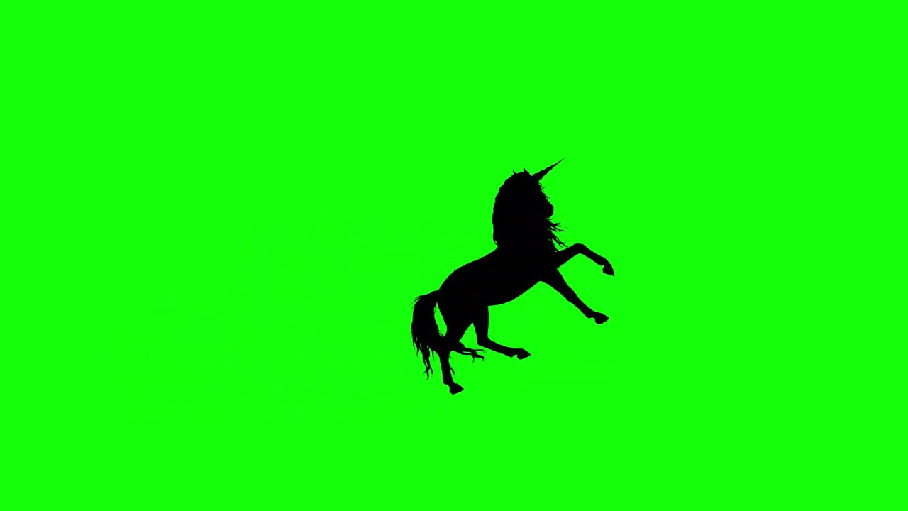 GreenScreen Footage Free Download Video green screen ANIMALS Part #8 ...