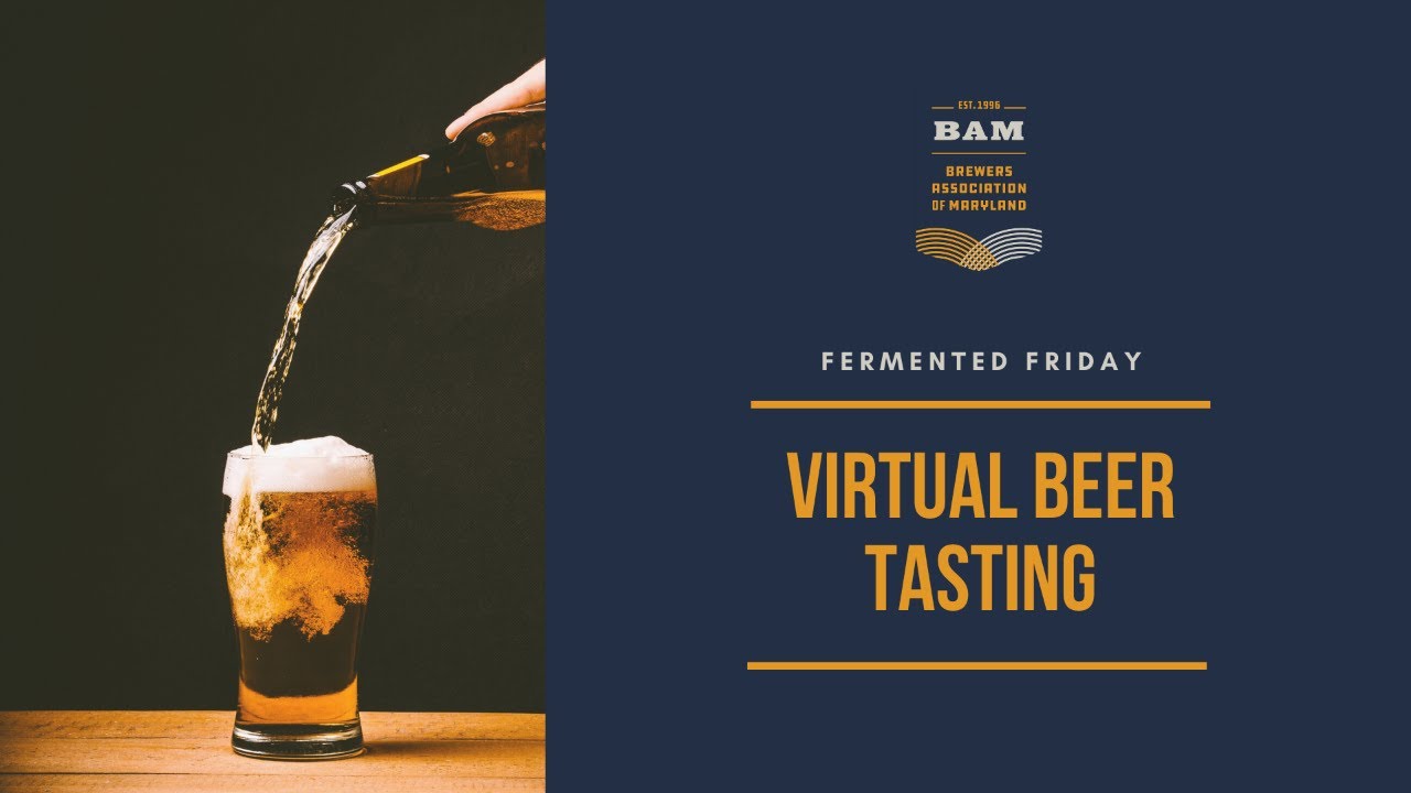 Fermented Friday Virtual Beer Tasting, feat. Steinhardt Brewing Company - YouTube