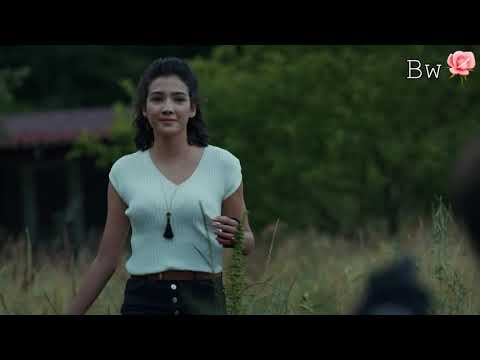 Смерть близких в турецких сериалах. Bird set free. До слёз.В описании⬇