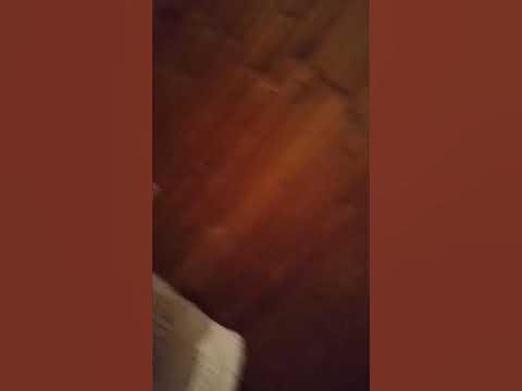 Спасение котика - YouTube