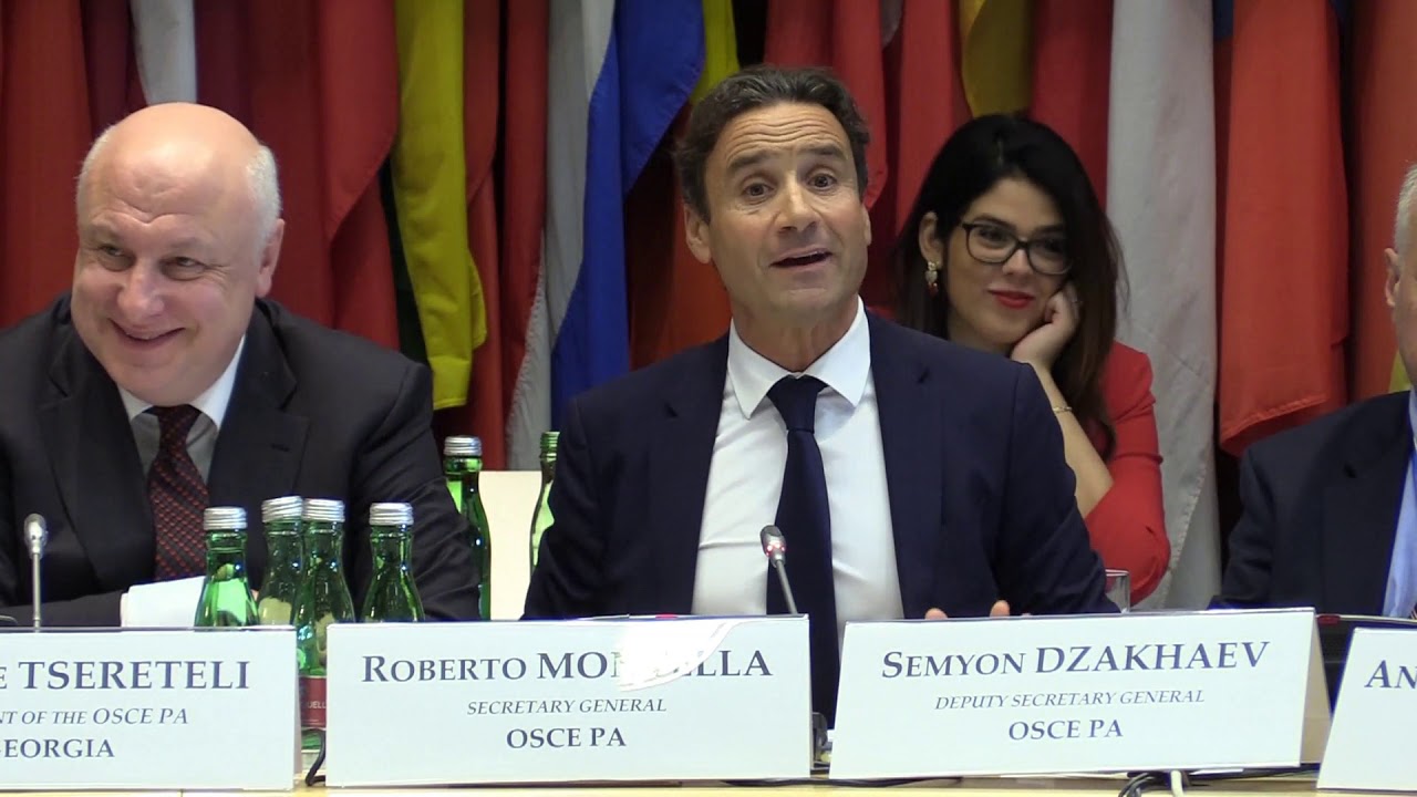 OSCE PA Secretary General Roberto Montella – Standing Committee Report ...