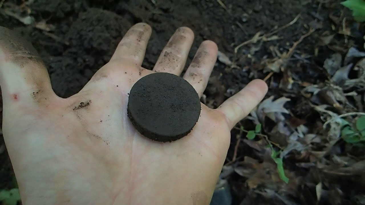 Metal Detecting in the river and around a old house foundation ...