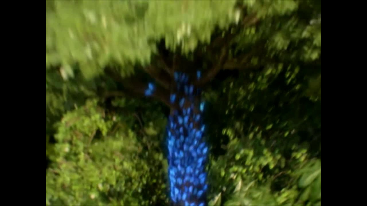 Vinheta Rede Ylaco 2018 HD - YouTube