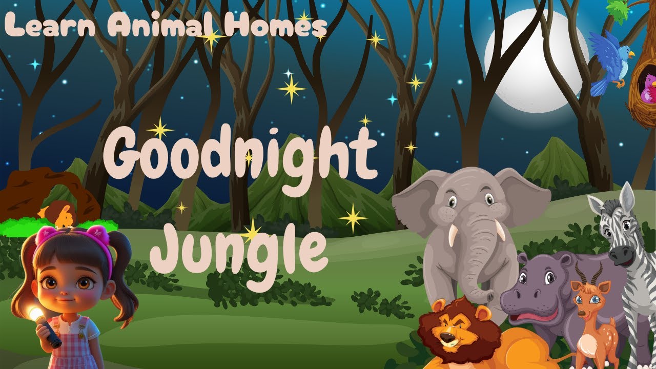 Good Night Wild Animals💤 Learn wild Animal Homes for Kids - YouTube