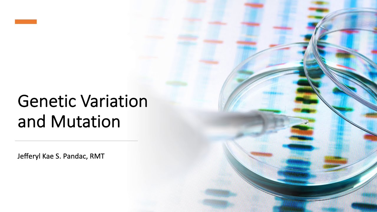Genetic Variation and Mutation - YouTube