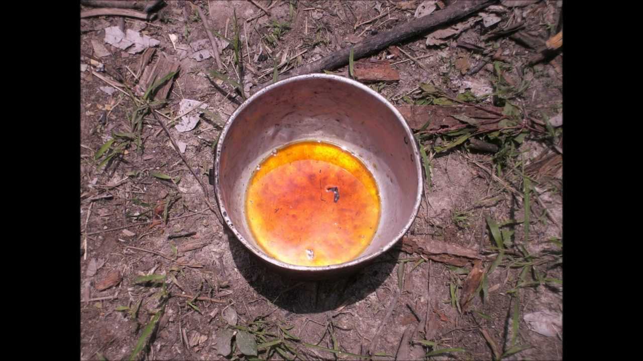 Preparación de Ayahuasca (Paso a Paso) Amazonia peruana - YouTube
