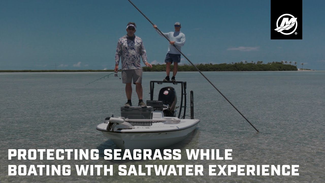 Protecting Seagrass While Boating with Saltwater Experience - YouTube