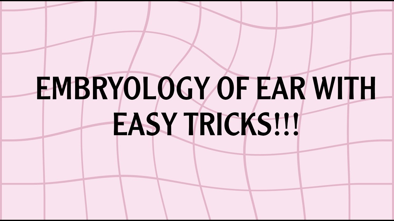 EMBRYOLOGY OF EAR WITH EASY TRICKS!! - YouTube