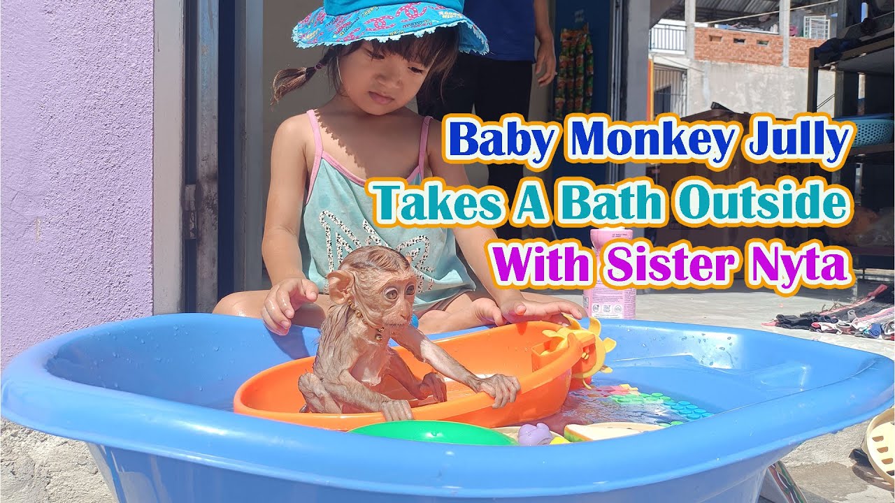 Baby Monkey Jully Takes A Bath Outside The Bathroom With Sister Nyta ...