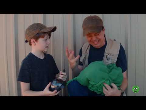 Dinosaur Invisible Cloak & Hologram T Rex Family - YouTube