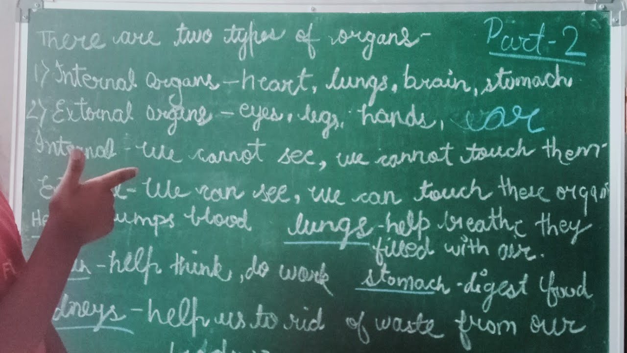 Class 2 E V S CHAPTER 2 Our Body part 2 class 2 our Body YouTube