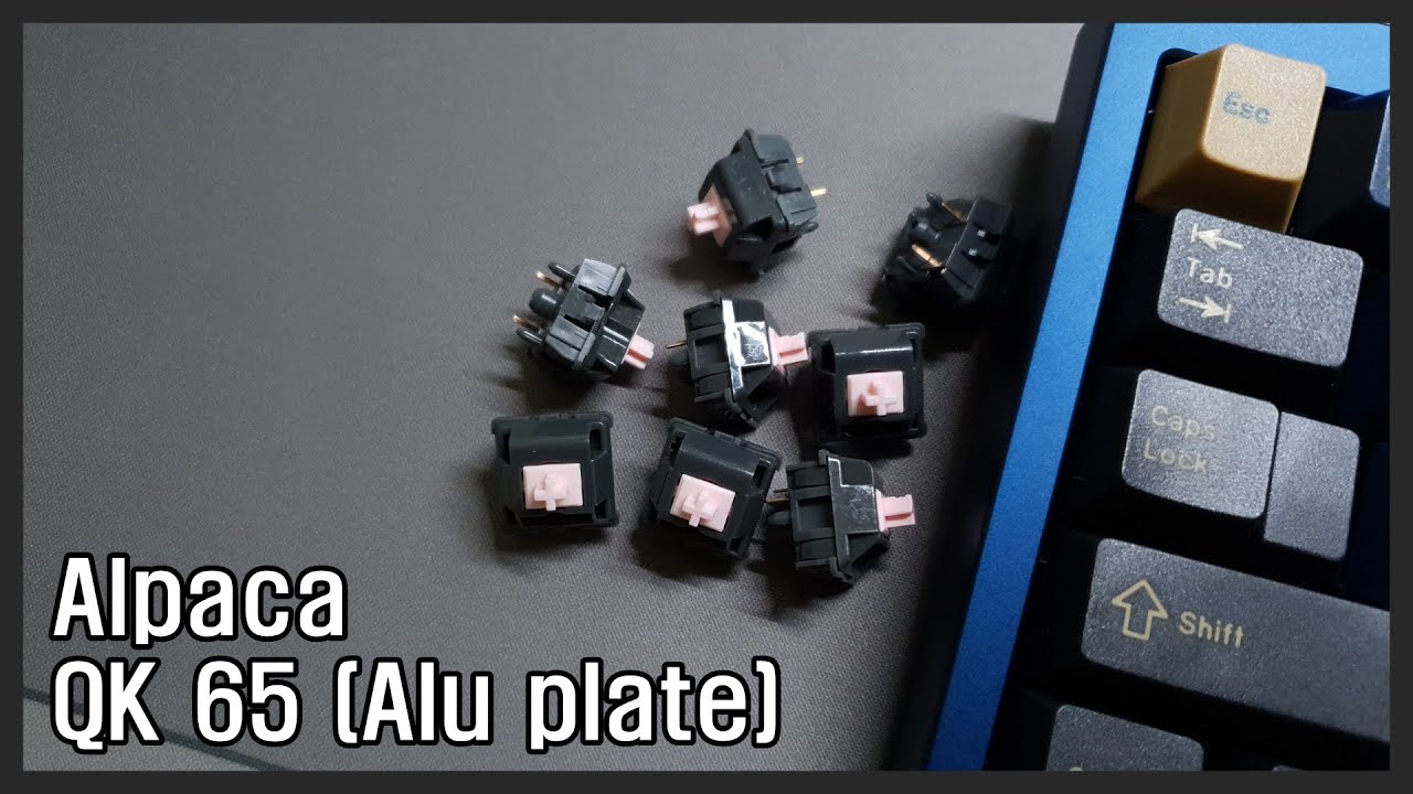 QK65 Alpaca switch / QK 65 알파카 스위치 - YouTube