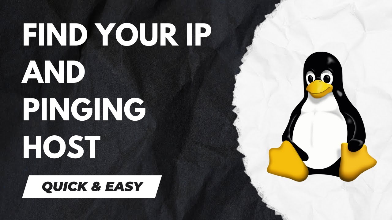 EASY Steps to FIND Your IP ADDRESS and PING a Host in Linux (Ubuntu ...