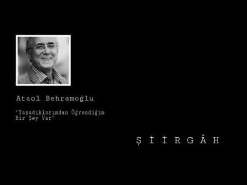 Ataol Behramoğlu Yaşadıklarımdan Öğrendiğim Bir Şey Var - şiirgâh