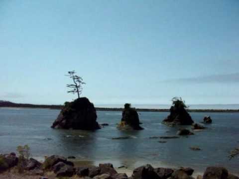 Clam Digging On The Oregon Coast - Nehalem Bay - YouTube