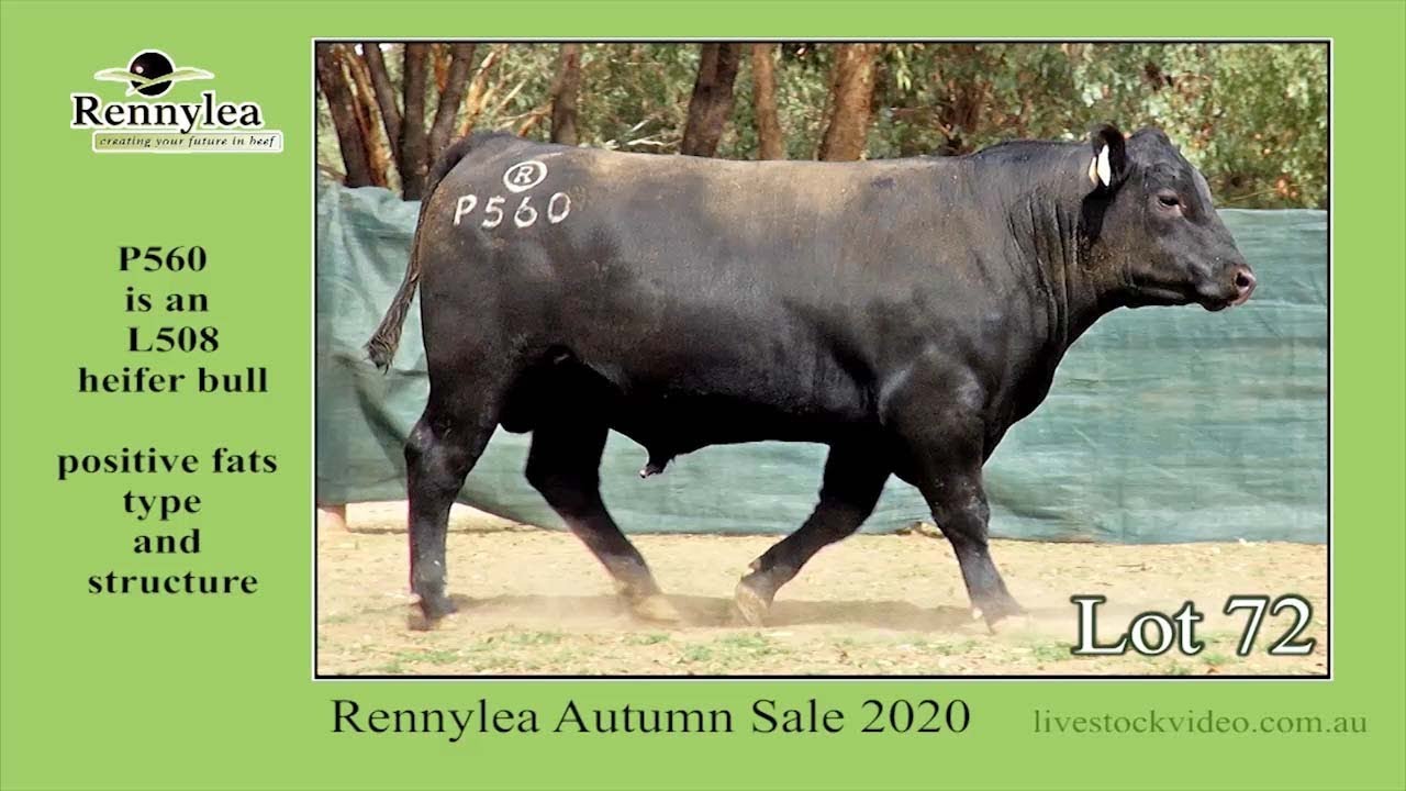 Lot 72 Rennylea 2020 - YouTube