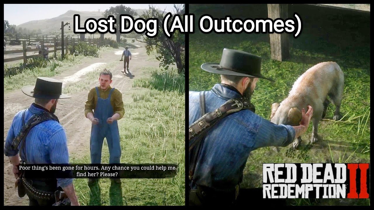 Kid Asks Arthur To Find His Missing Dog (Lost Dog All Outcomes) - Red ...