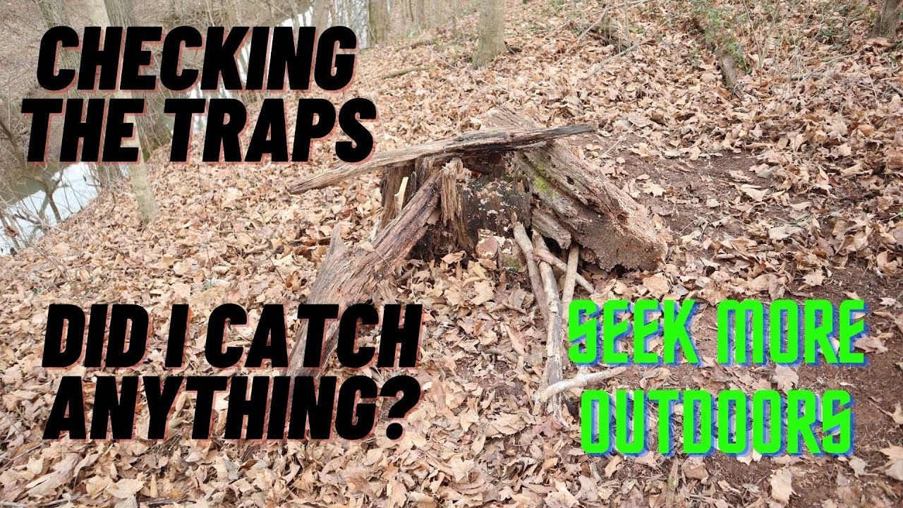 pt.2 checking the traps - YouTube