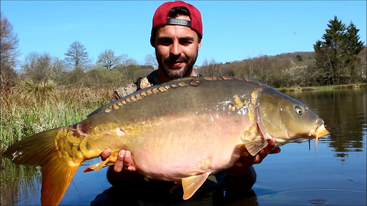 The Carp Specialist - Karpervissen in Frankrijk op betaalwater Etang ...