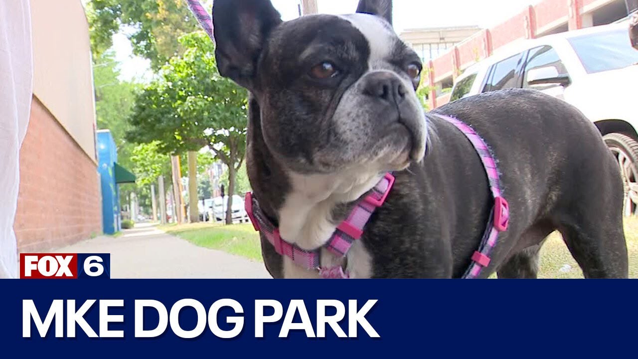 Milwaukee dog park groundbreaking; fenced space for pups of all sizes ...