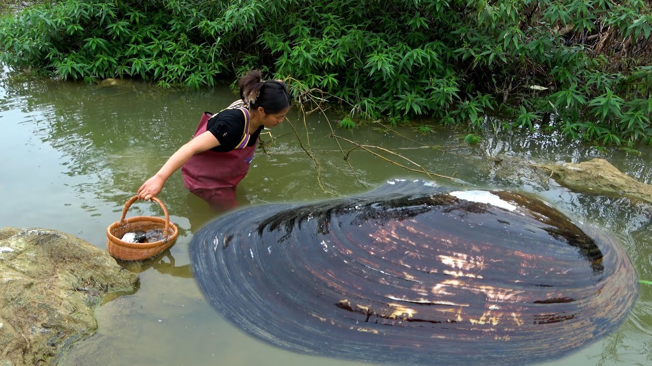 I didn't expect to encounter it here, the river clam with the most ...